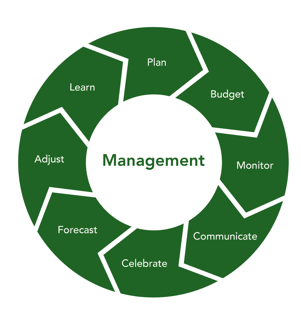 The management cycle - FI Consulting